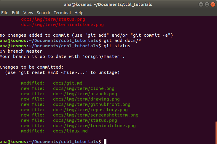 Git - CCBL Tutorials